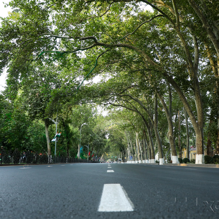 «Soyali sayr ko‘chalari» tarmog‘i yaratiladi - xabar.uz