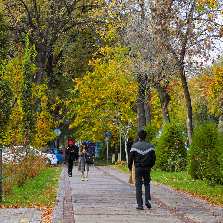 Якшанба куни кундузи кутилаётган об-ҳаво маълумоти - xabar.uz